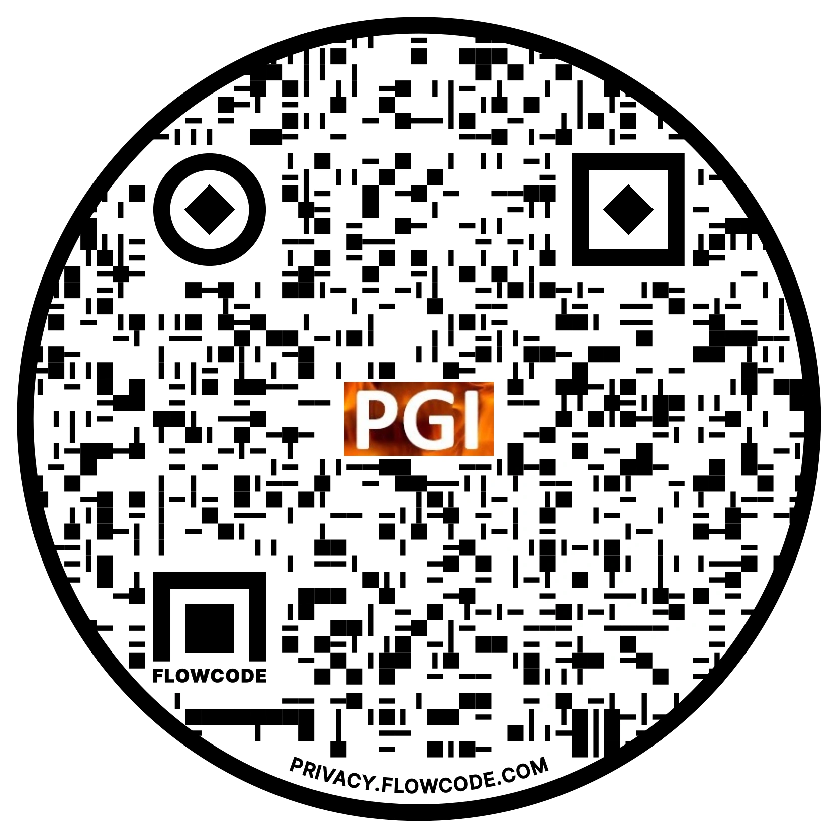 Customer Portal Pro Governance Intelligence customer-portal-pro-governance-intelligence